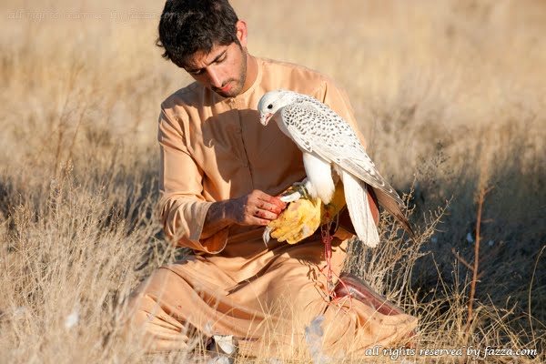 ! I love eclairs !: Fazza